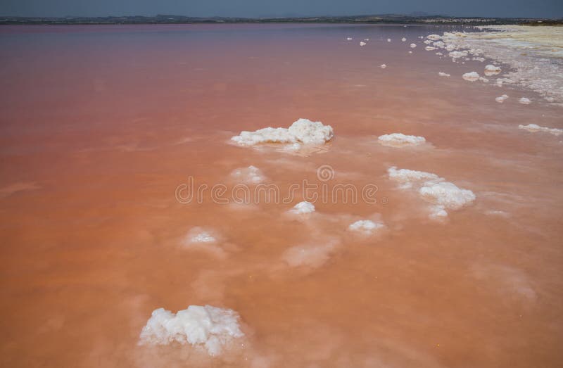 Lago salgado cor-de-rosa foto de stock. Imagem de espanha - 101742208