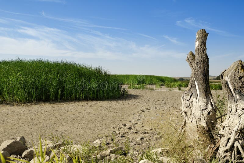 Lago seco foto de stock. Imagem de rachadura, nave, ambiente - 23677646