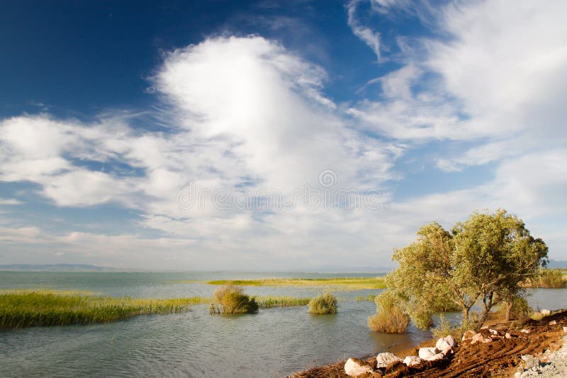 Lago sereno do rio imagem de stock. Imagem de exterior - 26649419