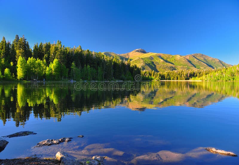 Lago sereno foto de archivo. Imagen de lago, pacífico - 26834760