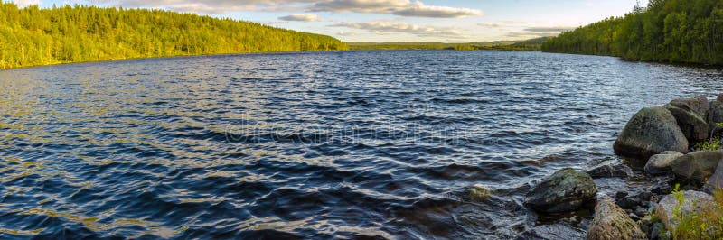 Lago Taiga fotografia stock. Immagine di cerchio, foresta - 60024688