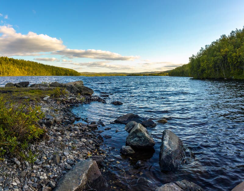 Lago Taiga fotografia stock. Immagine di cerchio, foresta - 60024688