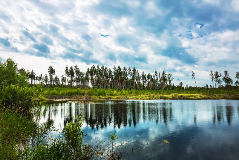 Lago Taiga La Siberia, Russia Immagine Stock - Immagine di novosibirsk ...