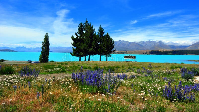 Paisaje de Tekapo del lago imagen de archivo. Imagen de nublado - 137984233