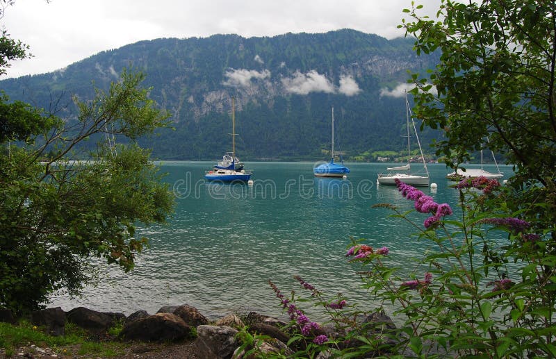 Lago Thun en Suiza imagen de archivo. Imagen de valle - 78021411