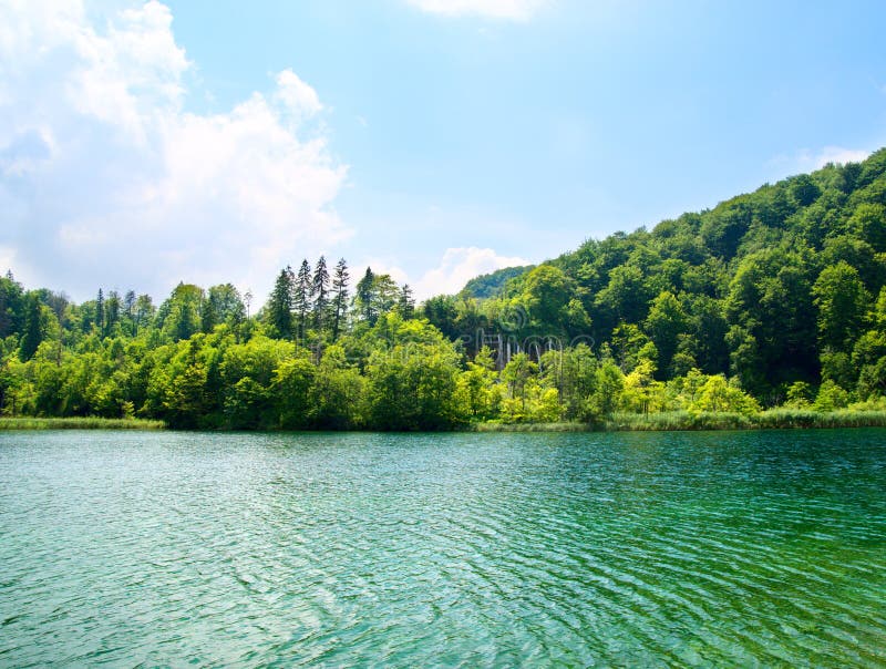 Lago verde del agua foto de archivo. Imagen de paisaje - 6575892