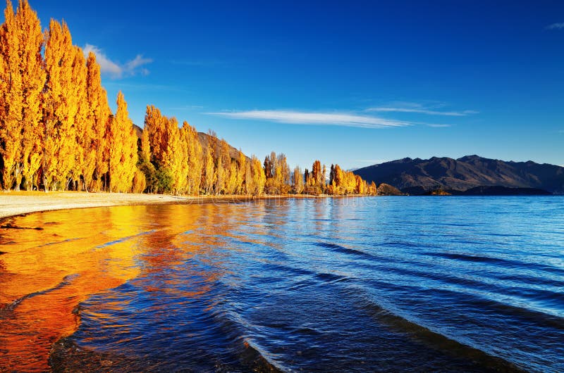 Lago Wanaka, Nuova Zelanda fotografia stock. Immagine di salice - 29167202
