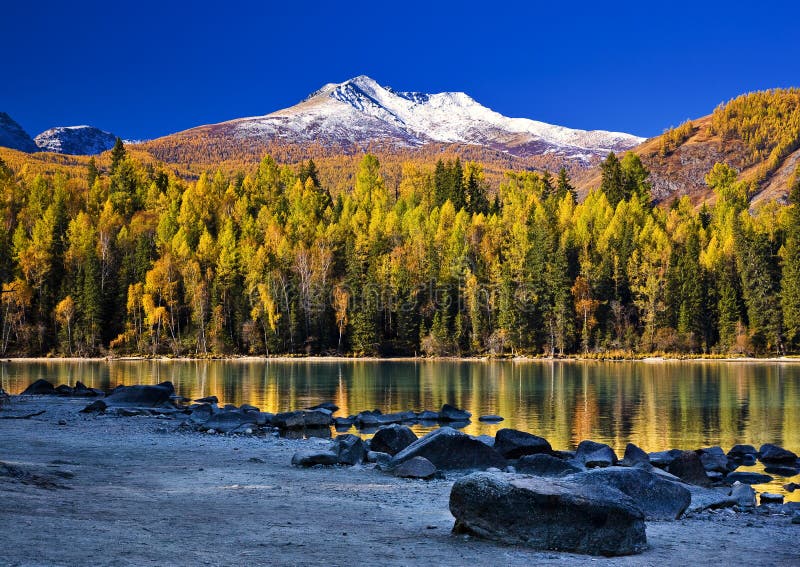 Lago y bosque foto de archivo. Imagen de perenne, cubo - 12145598
