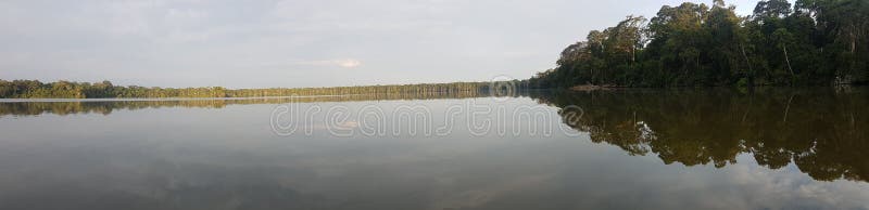 Lago y la selva de Perú imagen de archivo. Imagen de lago - 118950573