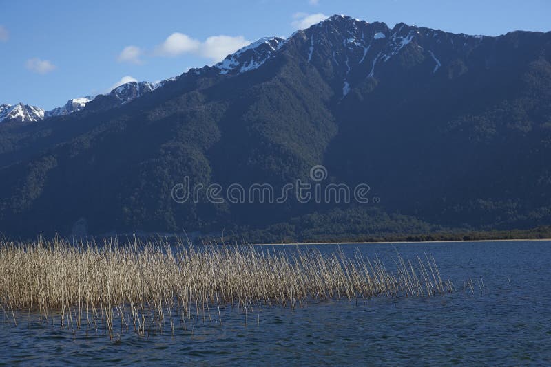 Rio Yelcho En Patagonia Chilena Imagen de archivo - Imagen de fluir ...