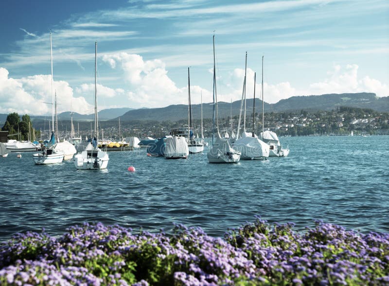 Lago zurich con los yates imagen de archivo. Imagen de motora - 102793431