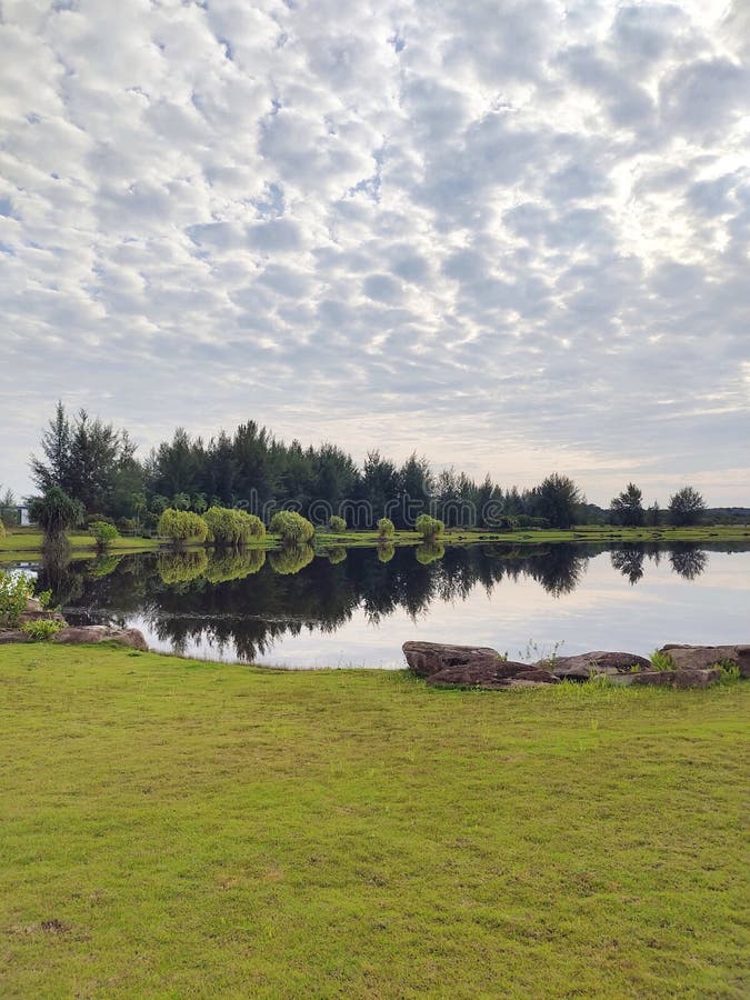Lagoi Lake and Jungle stock photo. Image of tree, view - 373876376