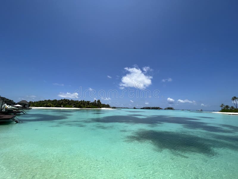 Island stock photo. Image of trees, lagoon, island, blue - 255933828