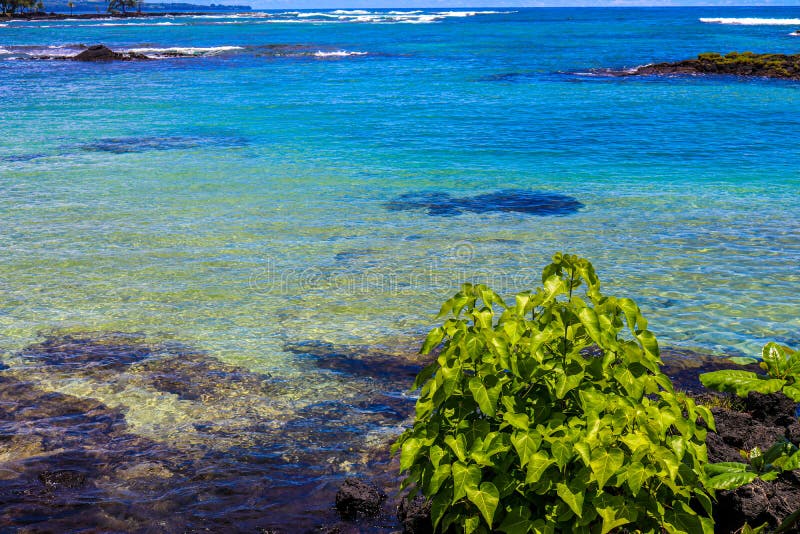 Lagoon coastline in Hilo stock image. Image of hilo - 251185703