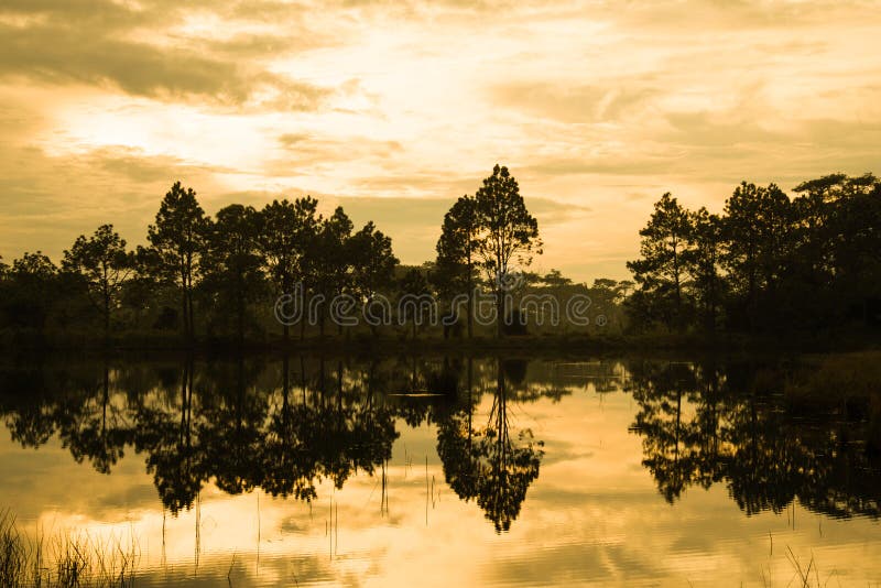 Lagoon of color Yellow stock photo. Image of lake, color - 60886854