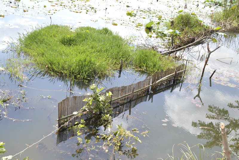 Lagoon stock image. Image of water, streamlined, tarn - 53294659