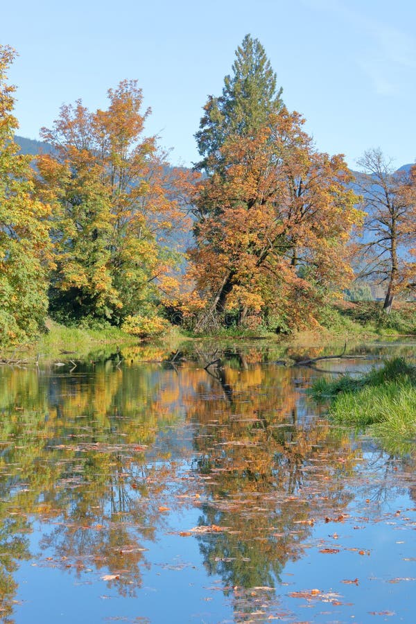 Lagoon in Fall and Colors stock photo. Image of countryside - 129083310