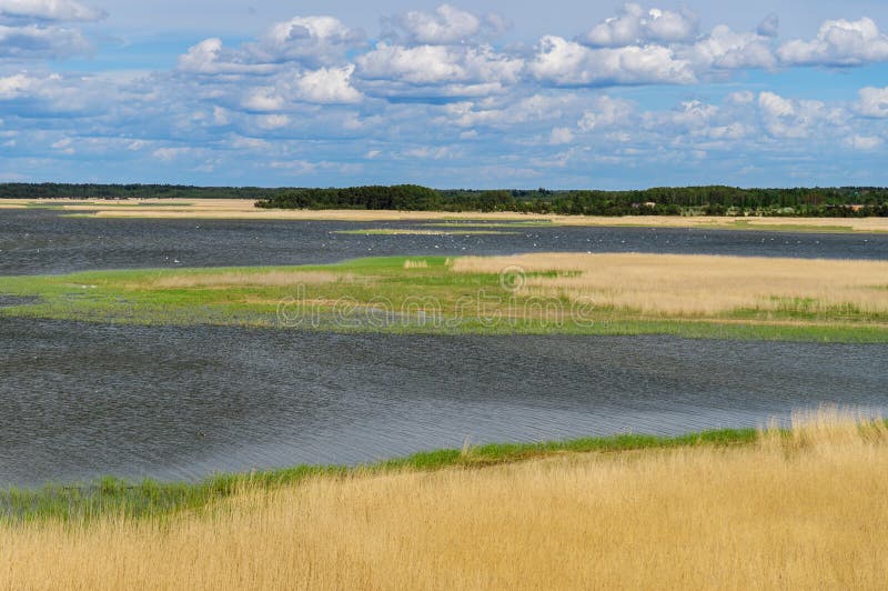 Lagoon Landscape of Bird Reservation Park Stock Image - Image of beauty ...