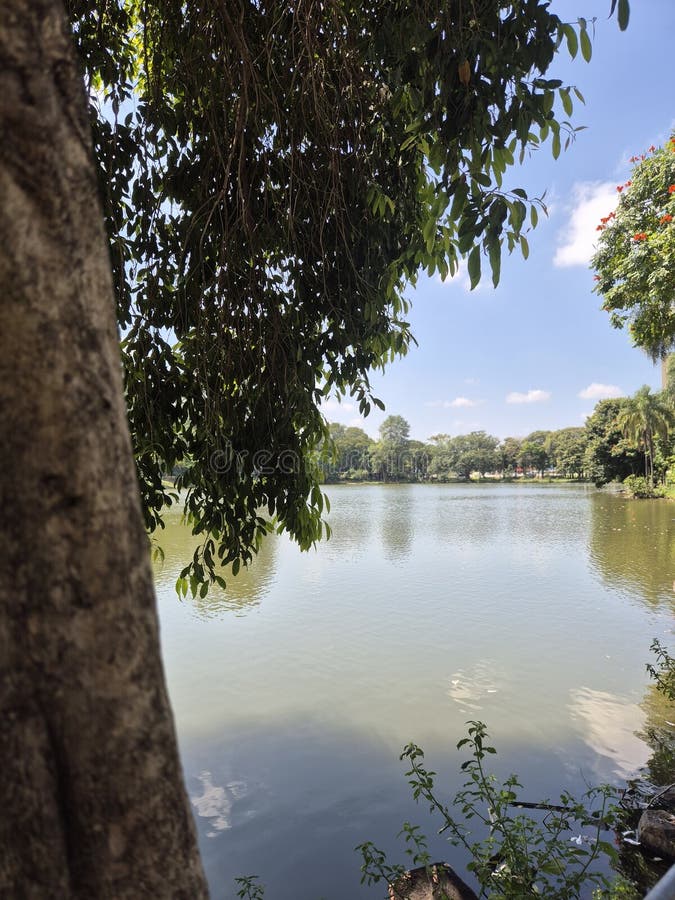Lagoon Landscape during the Day. Beautiful Top Stock Image - Image of ...