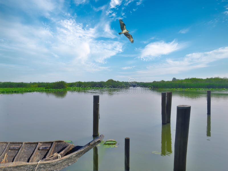 Lagoon Landscape with Embarrassment and Bird Predator Stock Photo ...