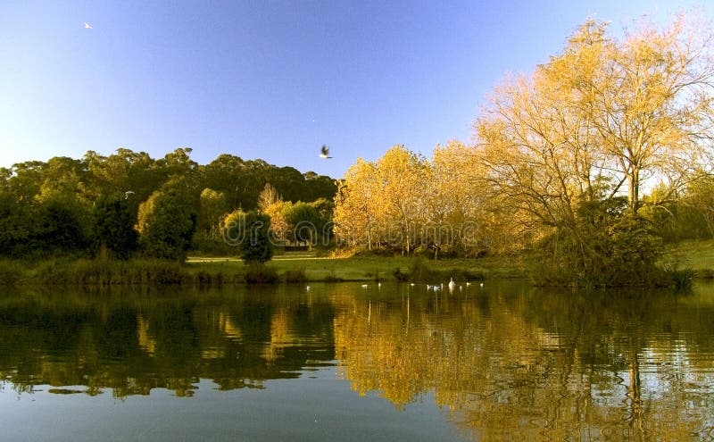 Lagoon Nature Picture. Image: 3884499