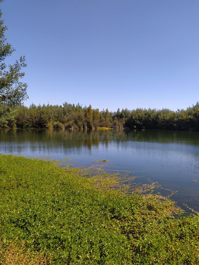 Lagoon in the Nature, Linares Chile. Spring Photography Stock Photo ...