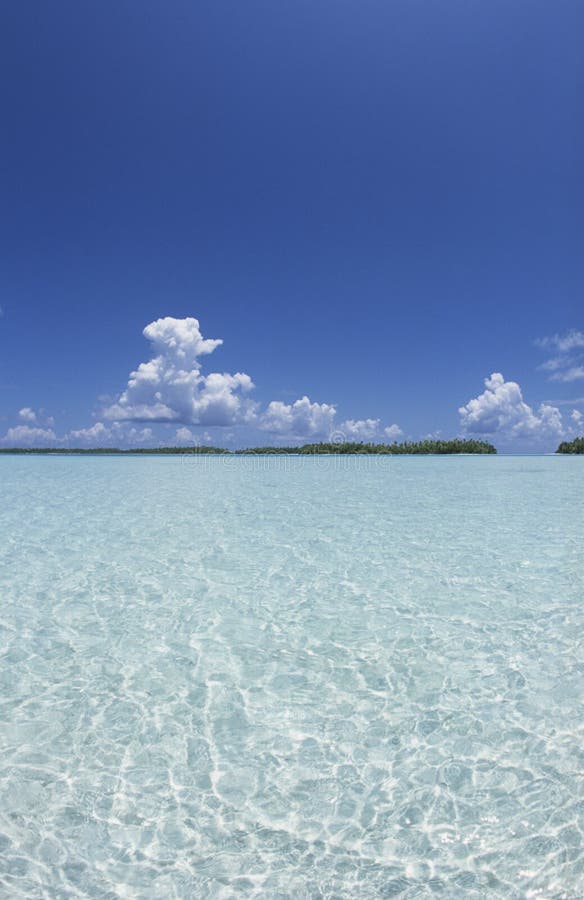 Lagoon, Palm Trees and Turquoise Water, Vacation in French Polynesia ...