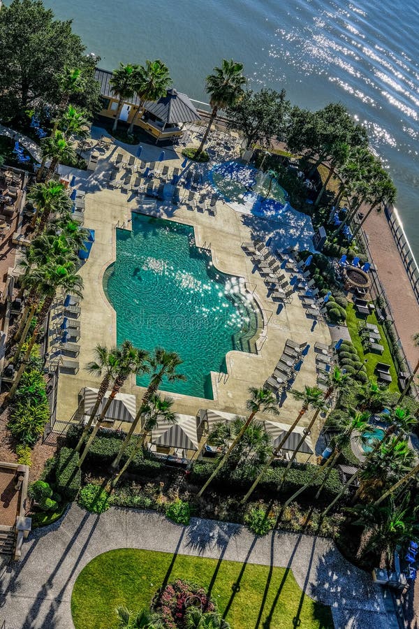 Lagoon Pool at Resort stock image. Image of palm, summer - 233651699