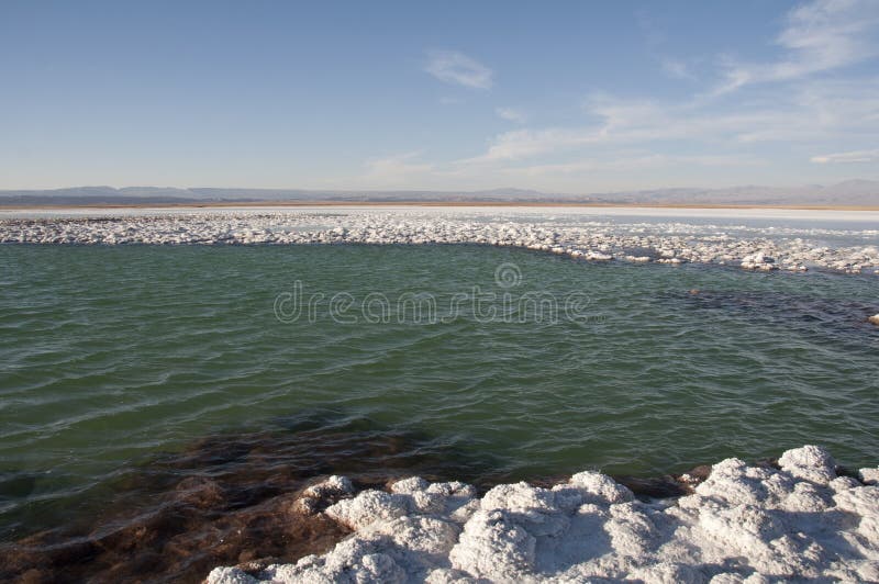 Lagoon saltwater, Chile stock image. Image of pond, snow - 67703907