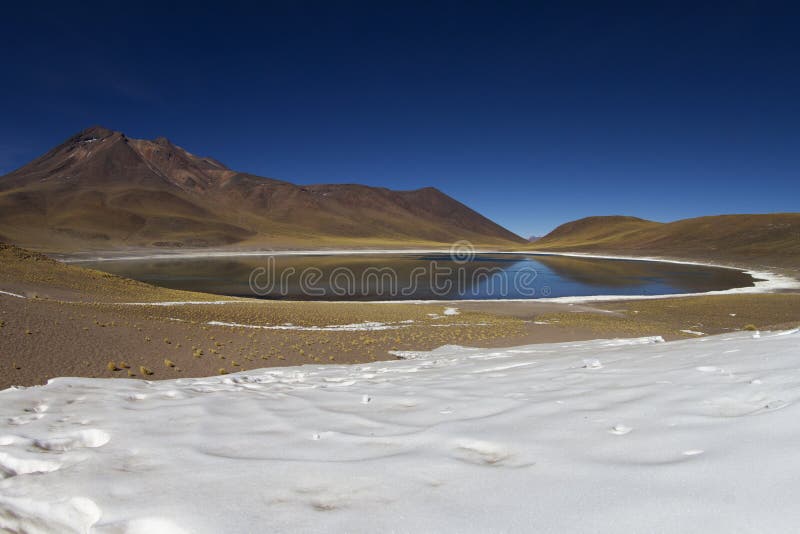 Lagoon with snow in Andes stock photo. Image of pure - 43153064