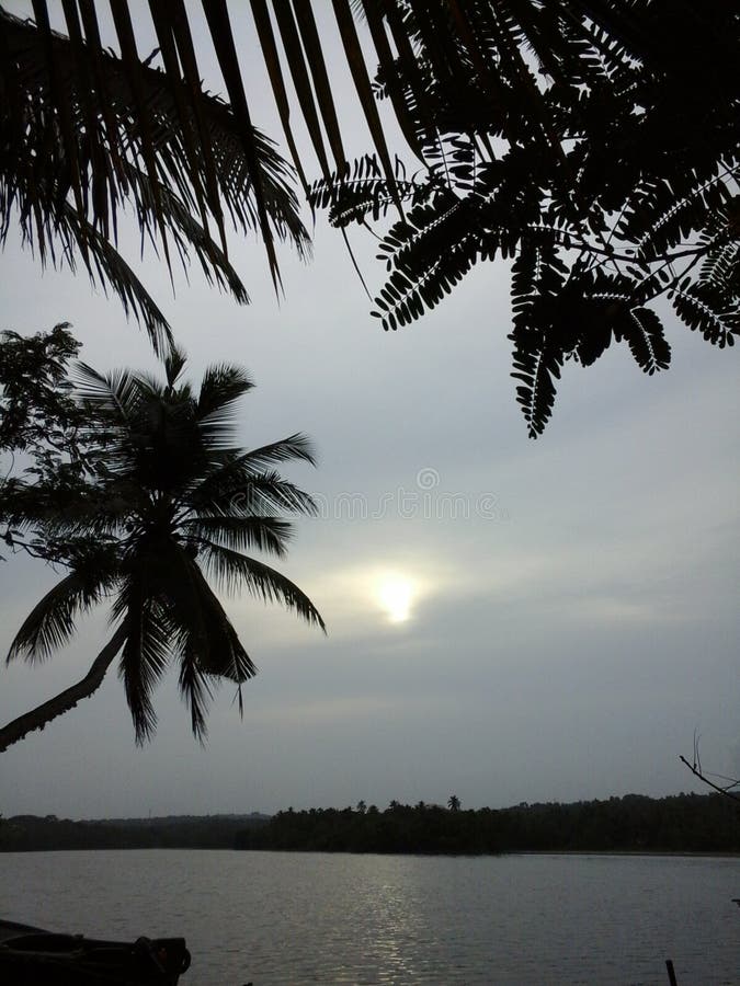 Lagoon tree border two stock image. Image of good, give - 54094817