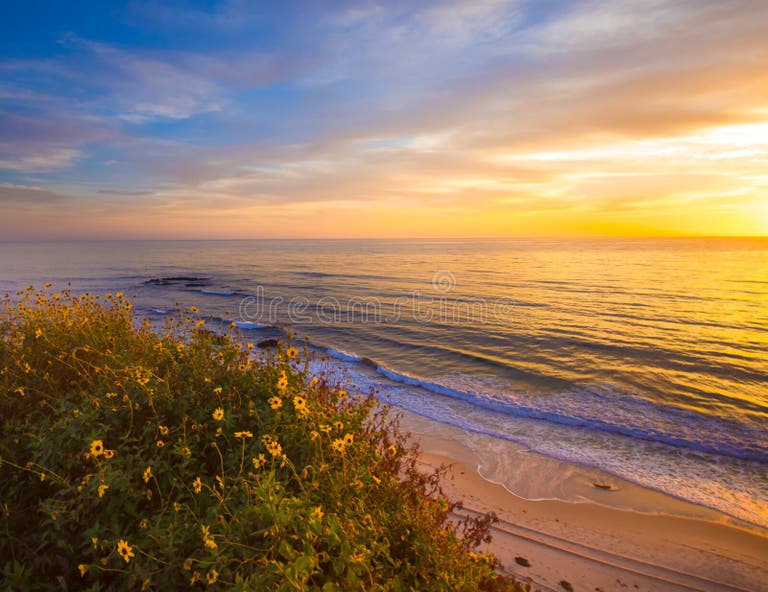 1,447 Beach Cliff Laguna Stock Photos - Free & Royalty-Free Stock ...