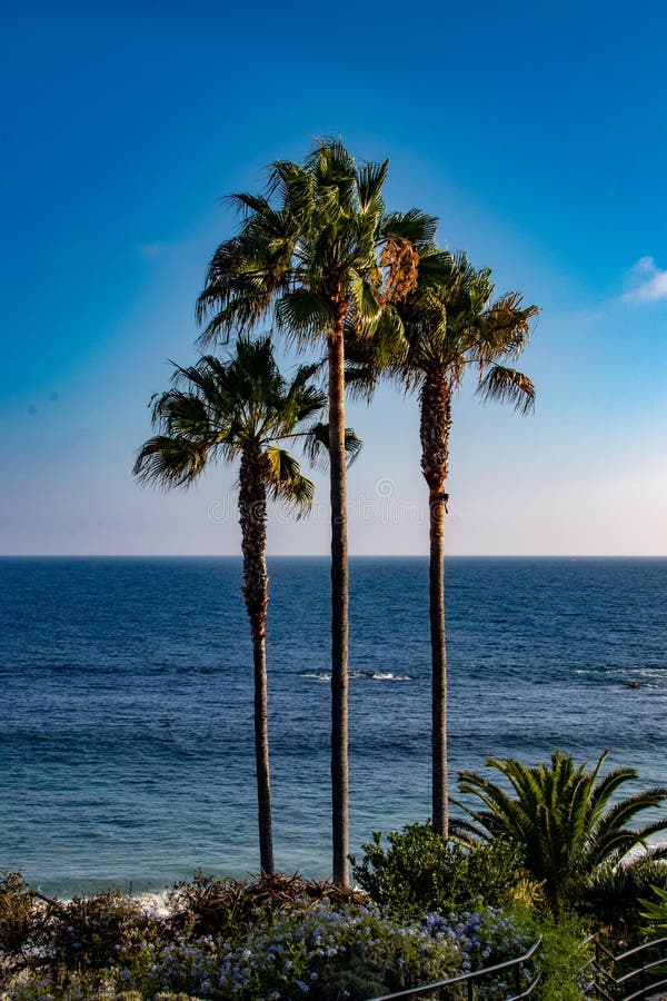 Laguna Beach, California stock image. Image of laguna - 172102987