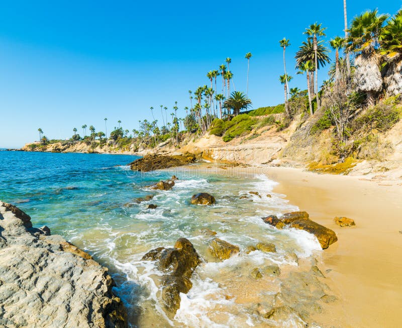 Laguna Beach shoreline stock image. Image of flowers - 82368979