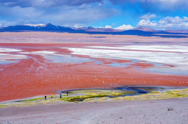 Laguna Colorada - Salt Lake in the Southwest of the Altiplano of ...