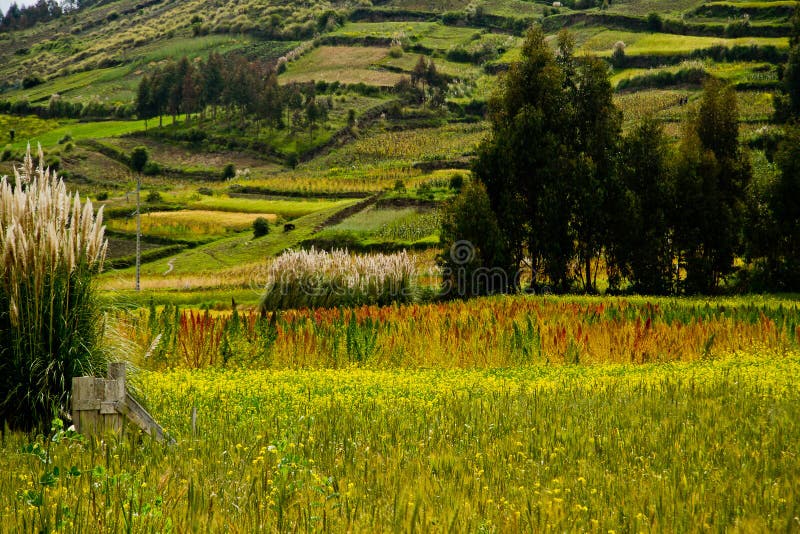 Vista De La Laguna Colta Situada Cerca De La Ciudad De Riobamba Capital ...