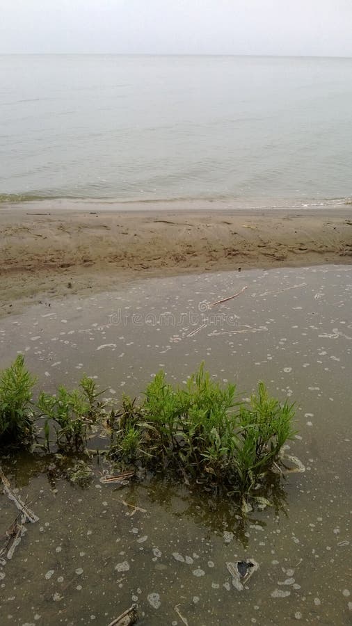 Laguna De Curonian De La Playa Foto de archivo - Imagen de viaje, agua ...