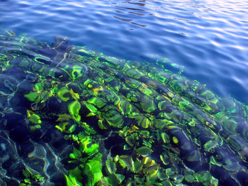 Laguna de la Media Luna imagen de archivo. Imagen de bosque - 17486427