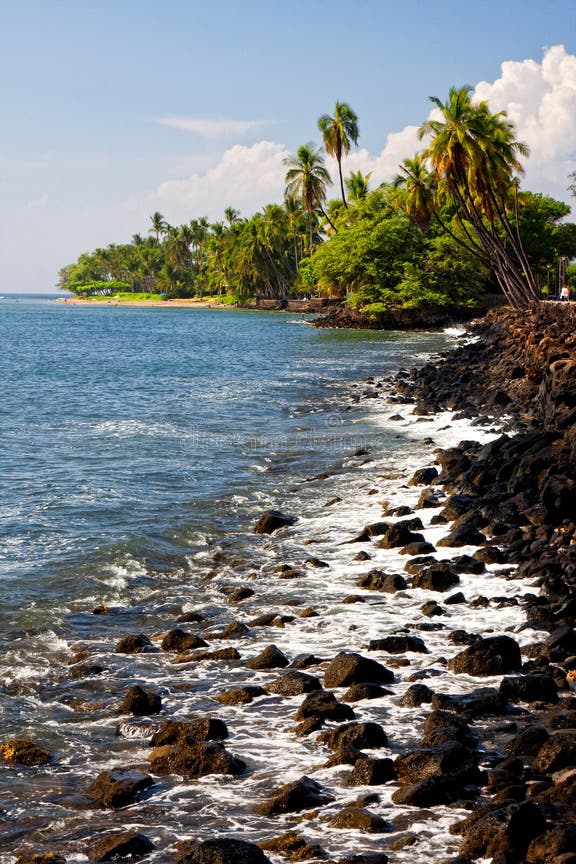 Lahaina beach stock photo. Image of maui, sunny, trees - 11237764