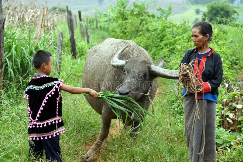 Lahu hill tribe editorial stock photo. Image of green - 13445953