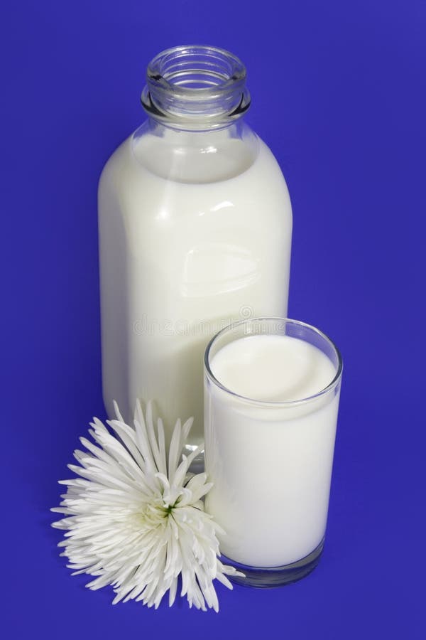 Lait frais photo stock. Image du laiterie, sain, blanc - 4034364