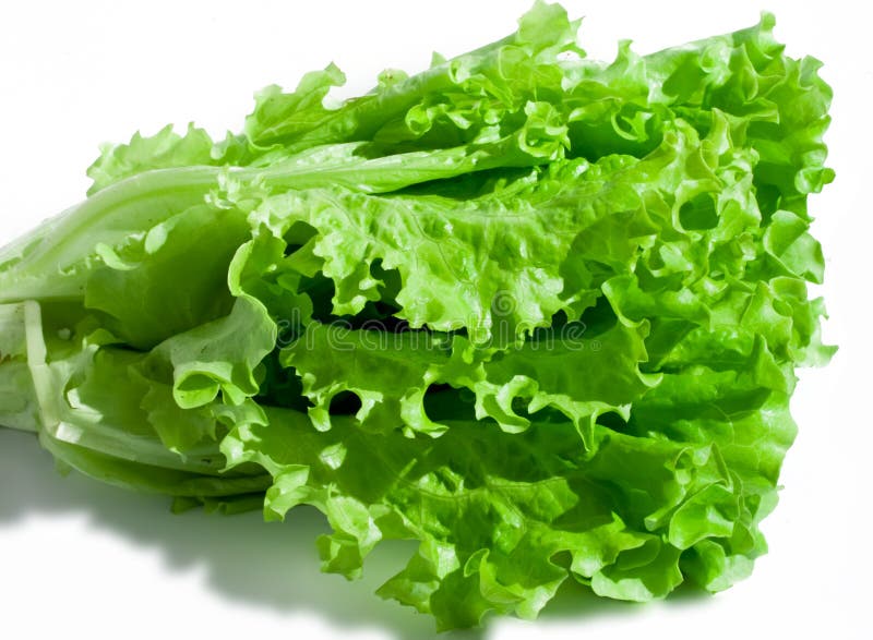 Laitue image stock. Image du laitue, feuillage, manger - 10080783