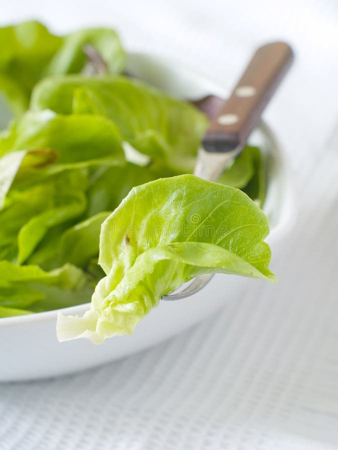 Laitue image stock. Image du manger, ingrédient, vivacité - 15639477