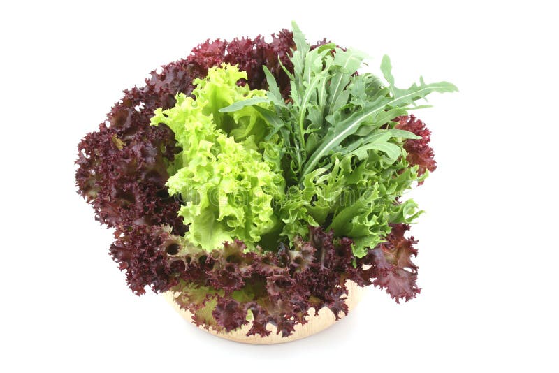 Laitue image stock. Image du salade, organique, ingrédient - 2611525