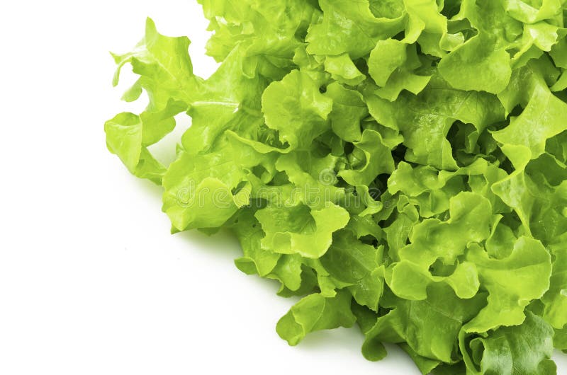 Laitue photo stock. Image du fermer, vert, alimentaire - 27097624