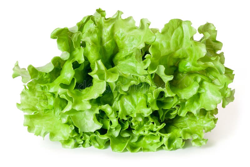 Laitue Photos Stock - Téléchargez 483,132 Photos libres de droits