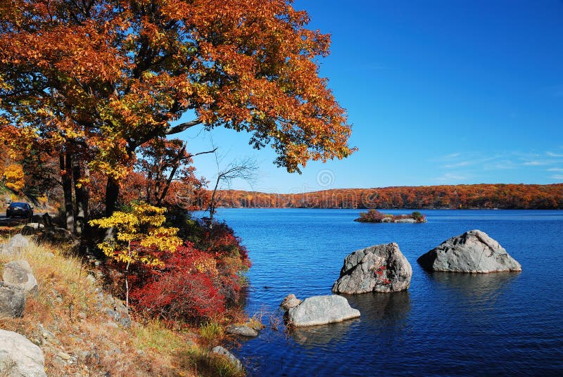 Lake Erie Cliffs in Autumn stock photo. Image of lake - 16462190