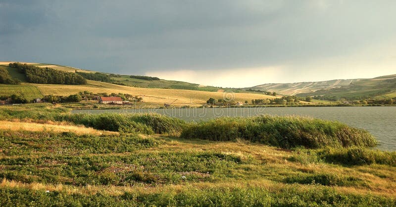 Taureni Stock Photos - Free & Royalty-Free Stock Photos from Dreamstime