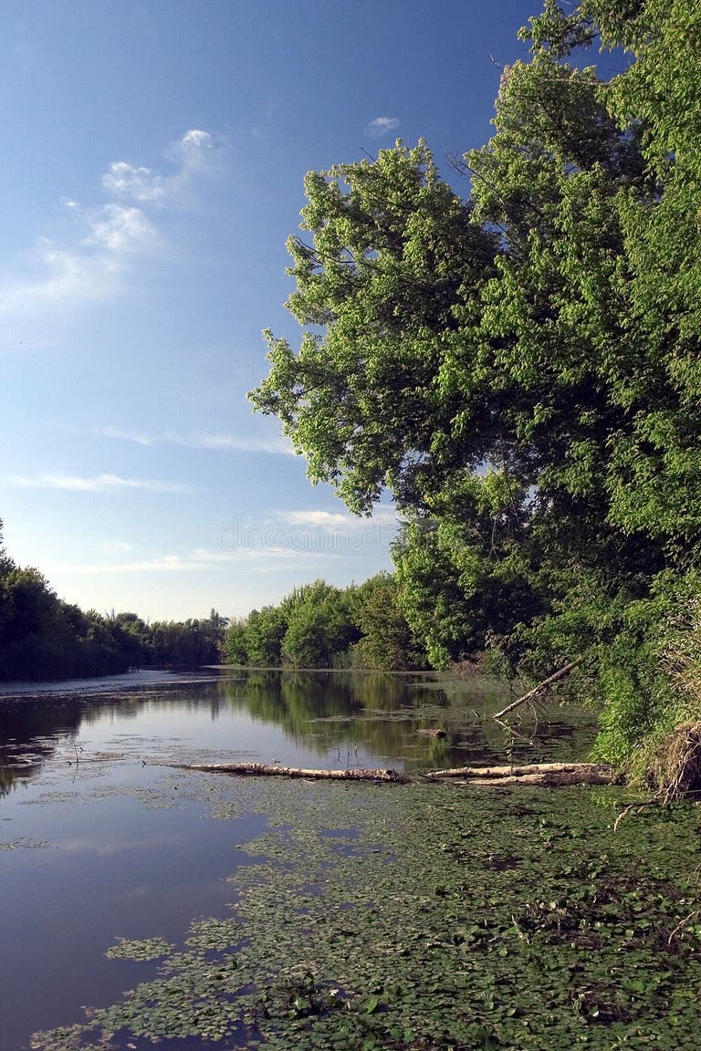 Free Nature (Lakes And Rivers) pictures, photos & images - Royalty-Free ...