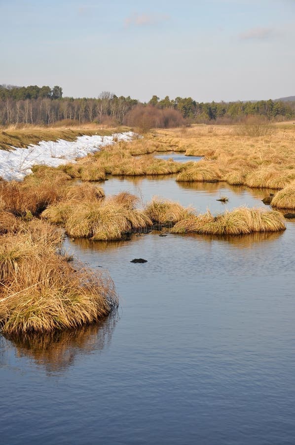Boykin Springs Waterfalls stock photo. Image of waterfalls - 84239892